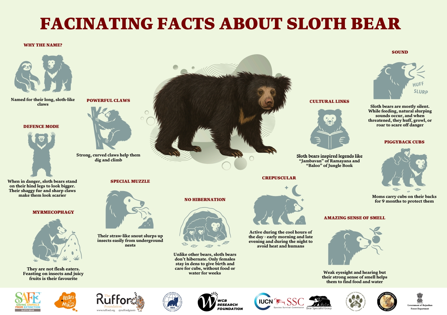 Saving the Sloth Bear: The Path Towards Coexistence - The Rufford Foundation